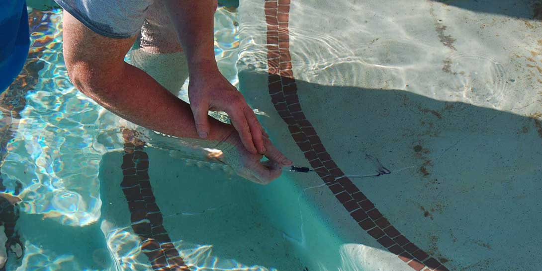 Expert Pool Leak Detection & Repair In Plano & North Dallas